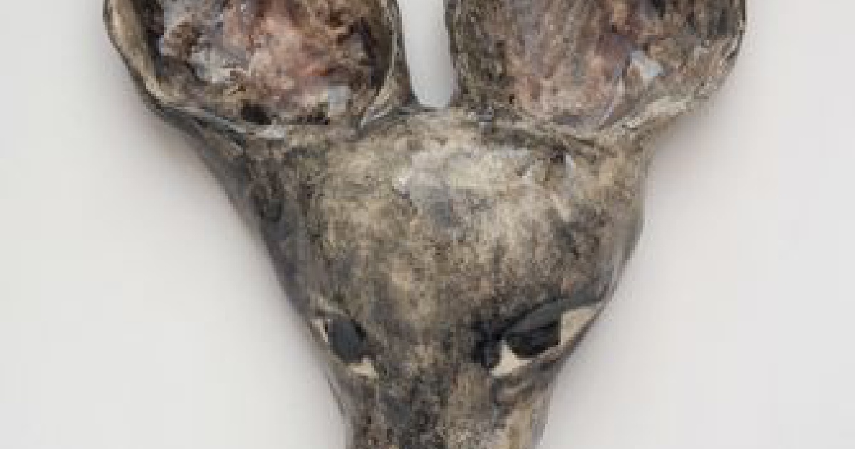 Klara Kristalova at Teagan Art Space | Galleri Magnus Karlsson