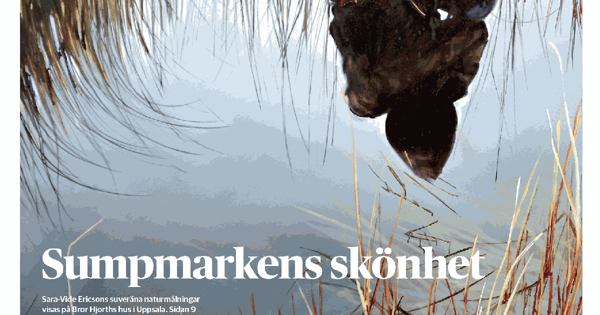 Press | Galleri Magnus Karlsson